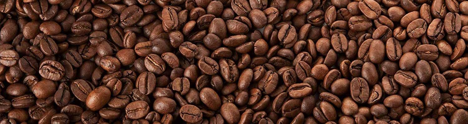 Havnebyens kaffebar på Sjællands Odde er økologi og hjerte.